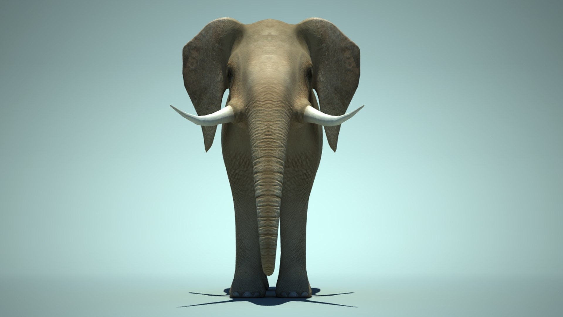 3D Elephant - TurboSquid 1203804