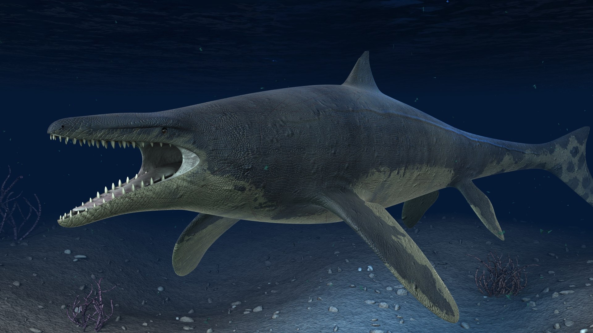 Wakayama Blue Dragon Mosasaur 3D - TurboSquid 2210363
