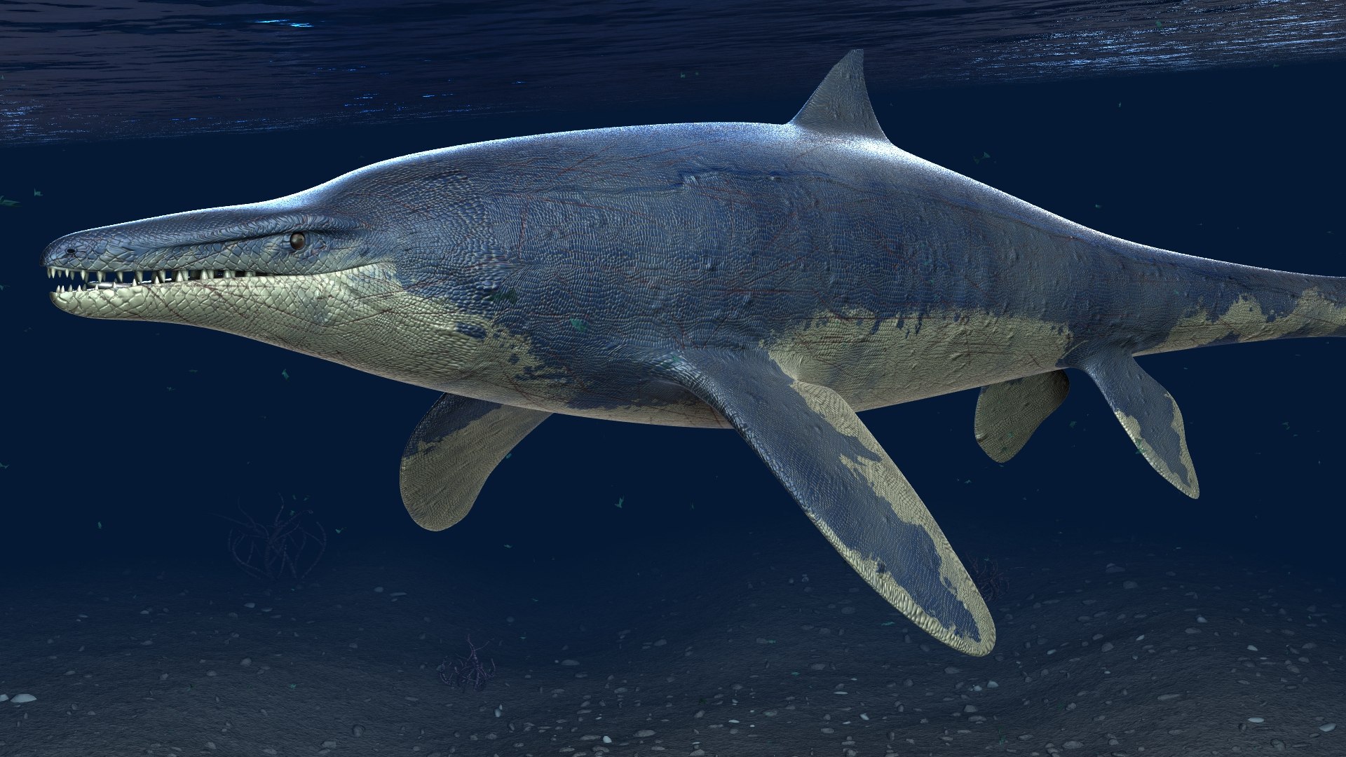 Wakayama Blue Dragon Mosasaur 3D - TurboSquid 2210363
