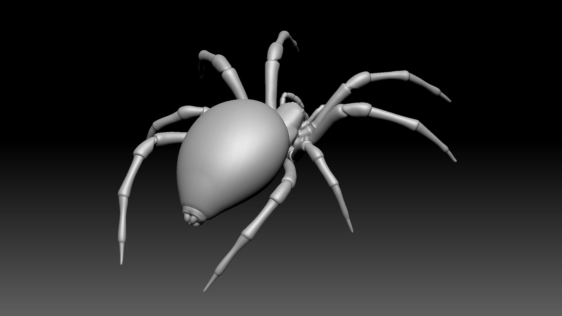 3D Model Garden Spider - TurboSquid 2151962