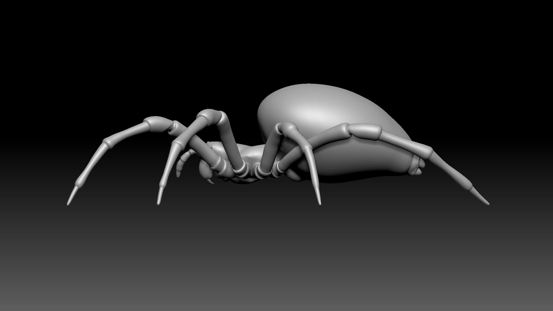 3D Model Garden Spider - TurboSquid 2151962