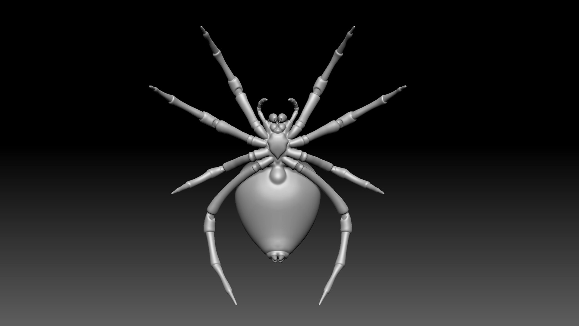 3D Model Garden Spider - TurboSquid 2151962