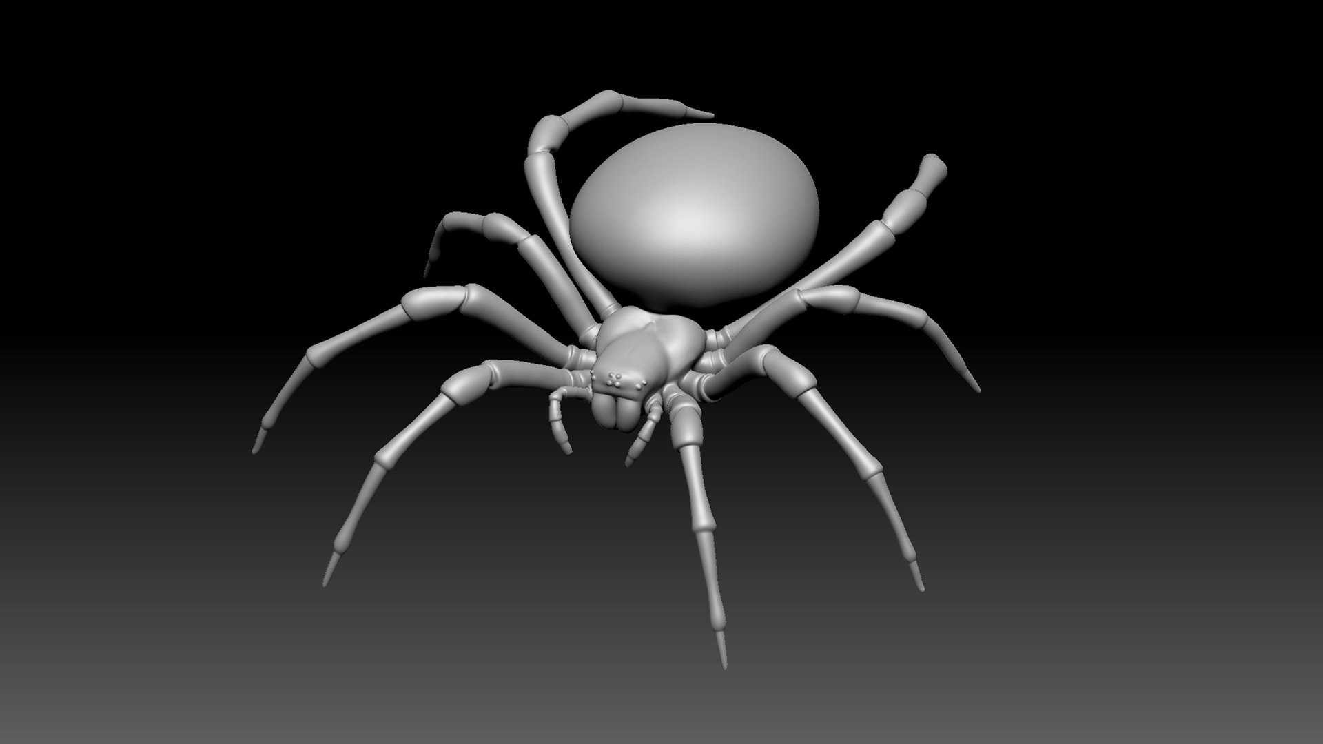 3D Model Garden Spider - TurboSquid 2151962