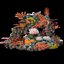3d Coralreef Coral Reef Model