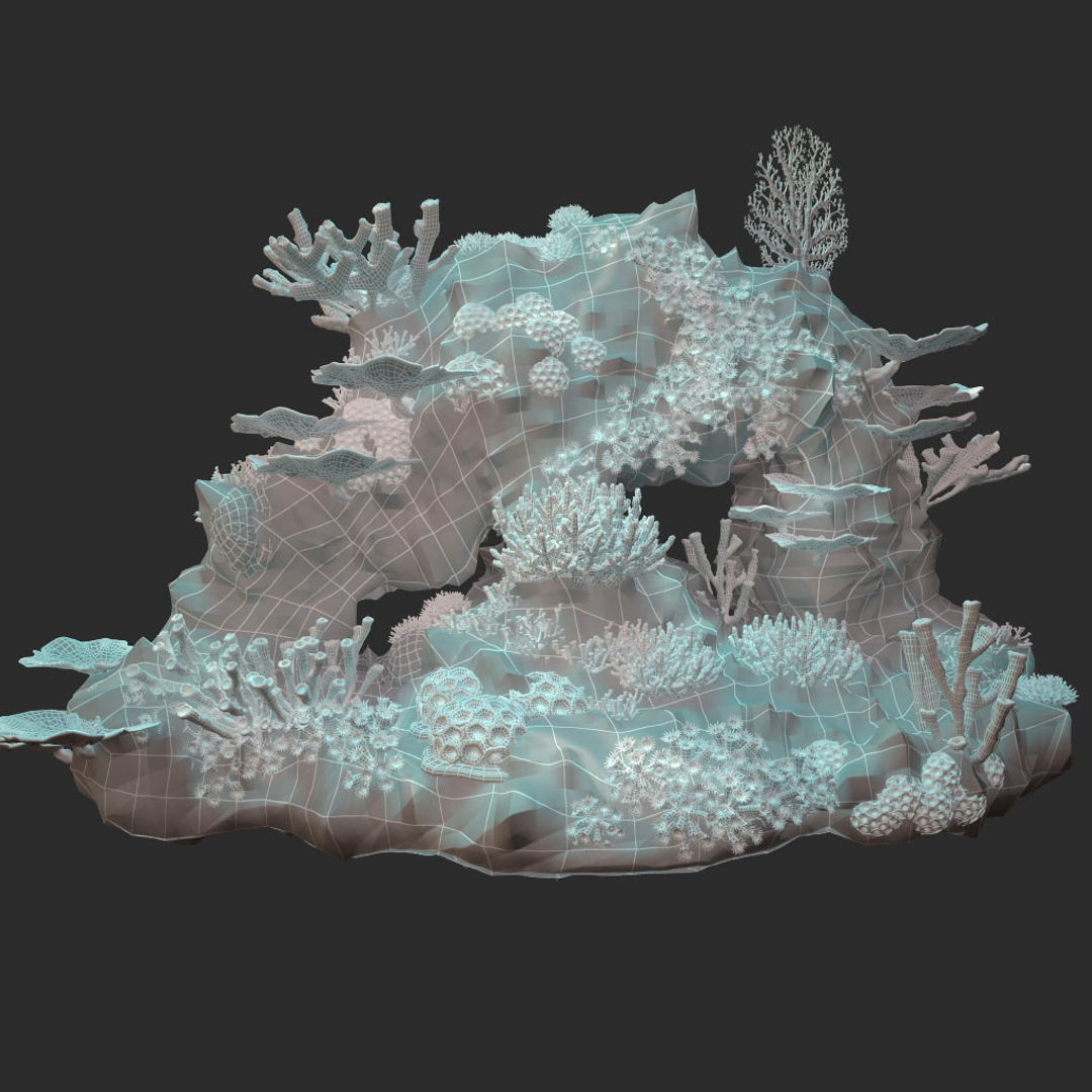 3d coralreef coral reef model