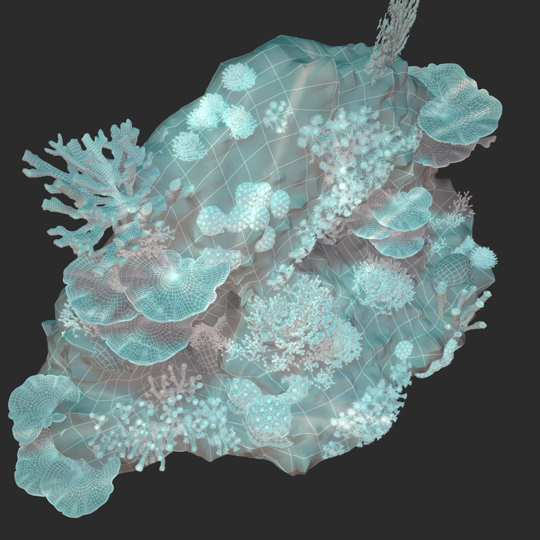 3d coralreef coral reef model