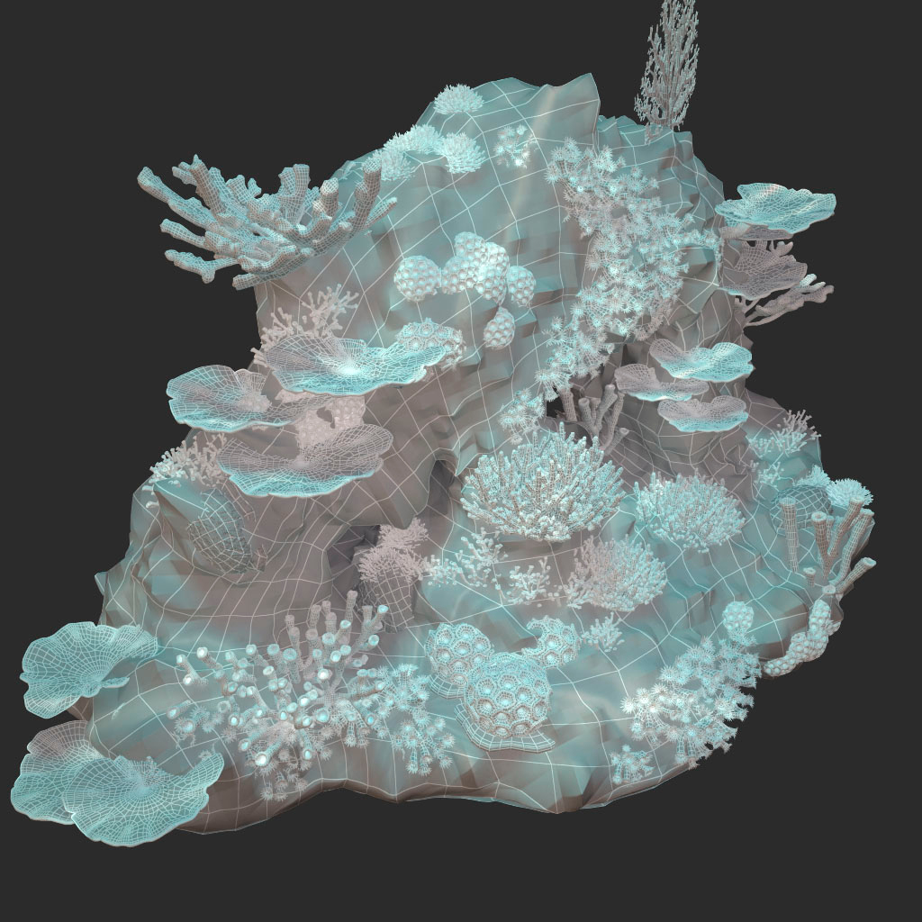 3d coralreef coral reef model