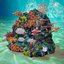 3d Coralreef Coral Reef Model