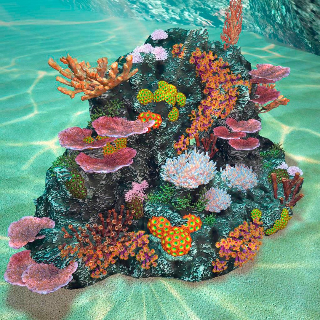 3d Coralreef Coral Reef Model