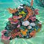 3d Coralreef Coral Reef Model