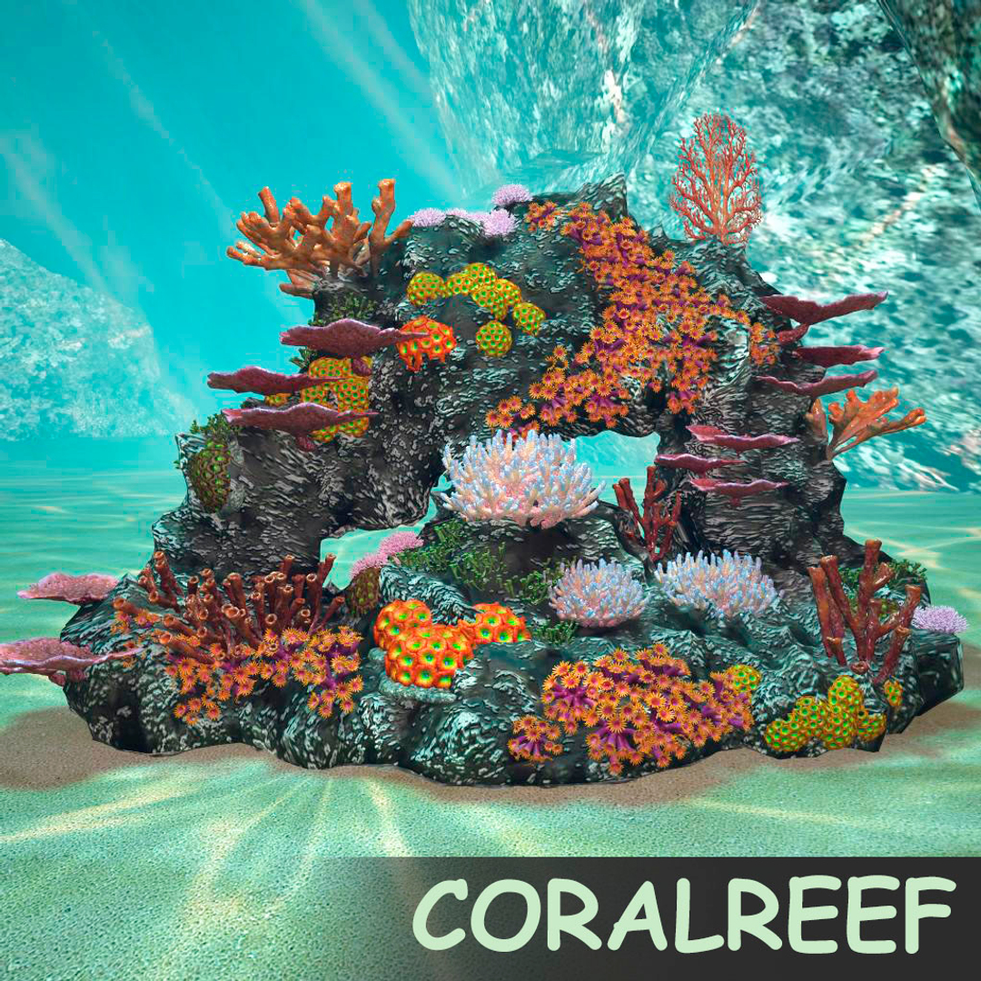 3d coralreef coral reef model
