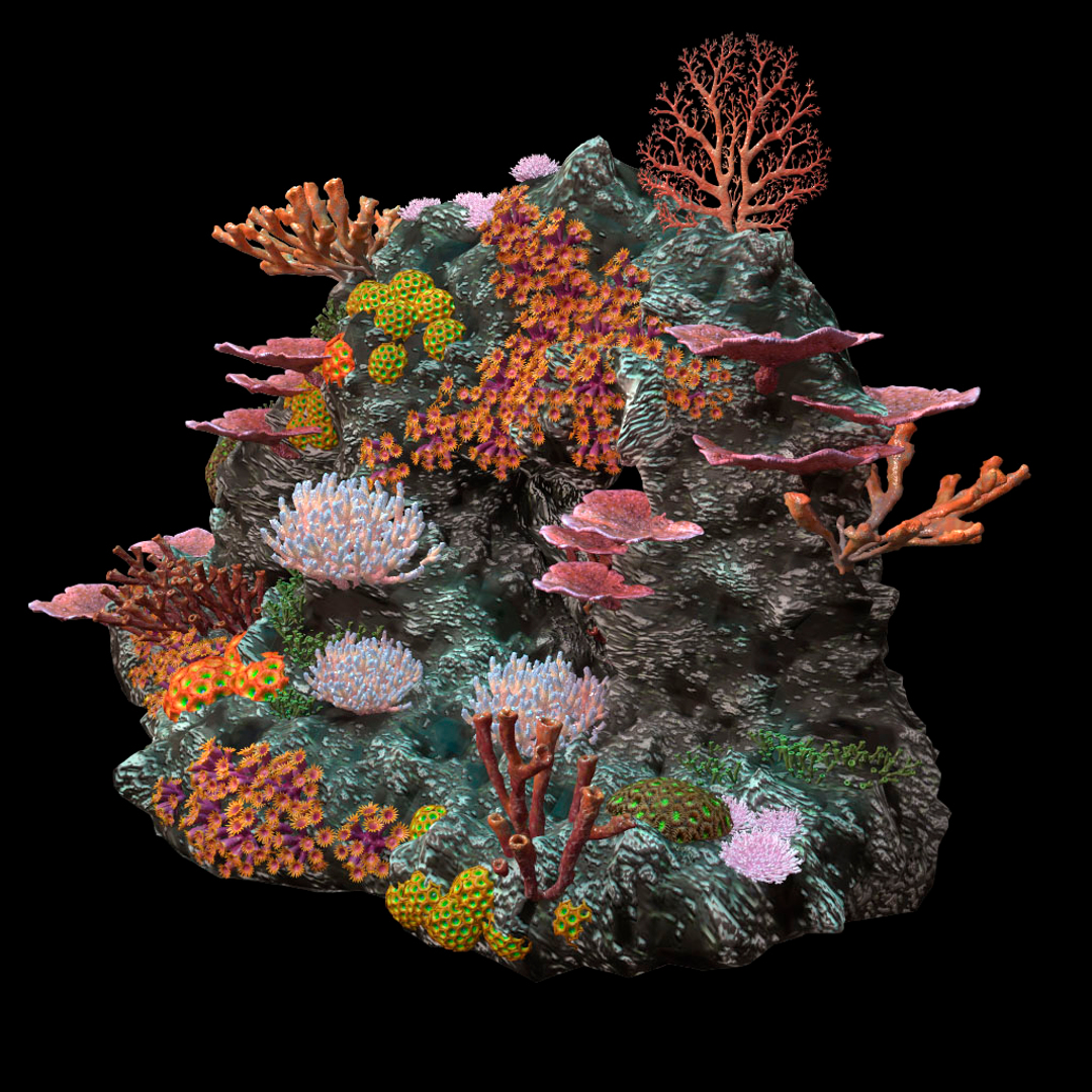 3d coralreef coral reef model