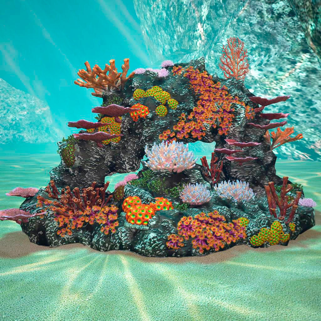 3d coralreef coral reef model