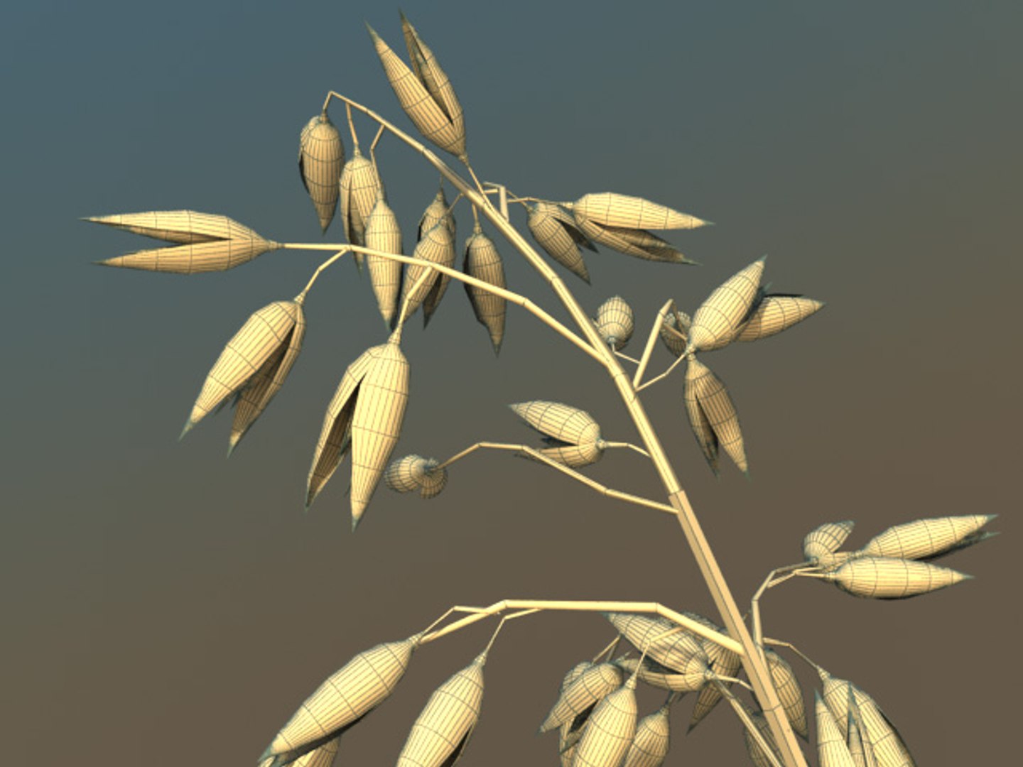 Oats 3d Max