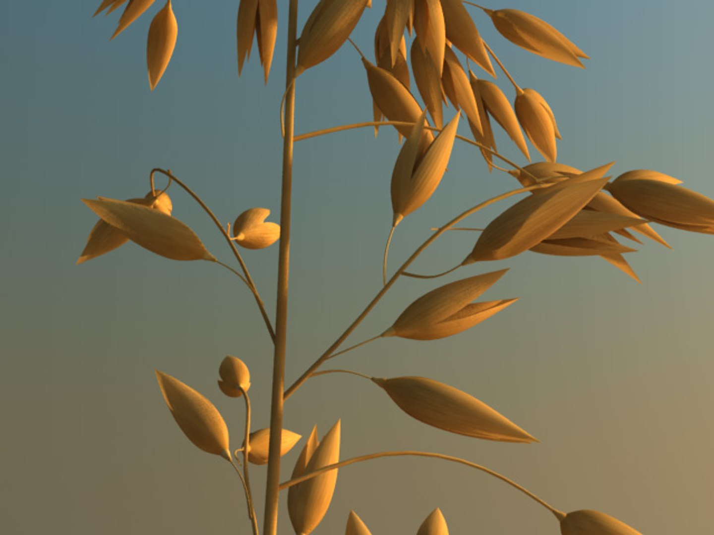Oats 3d Max