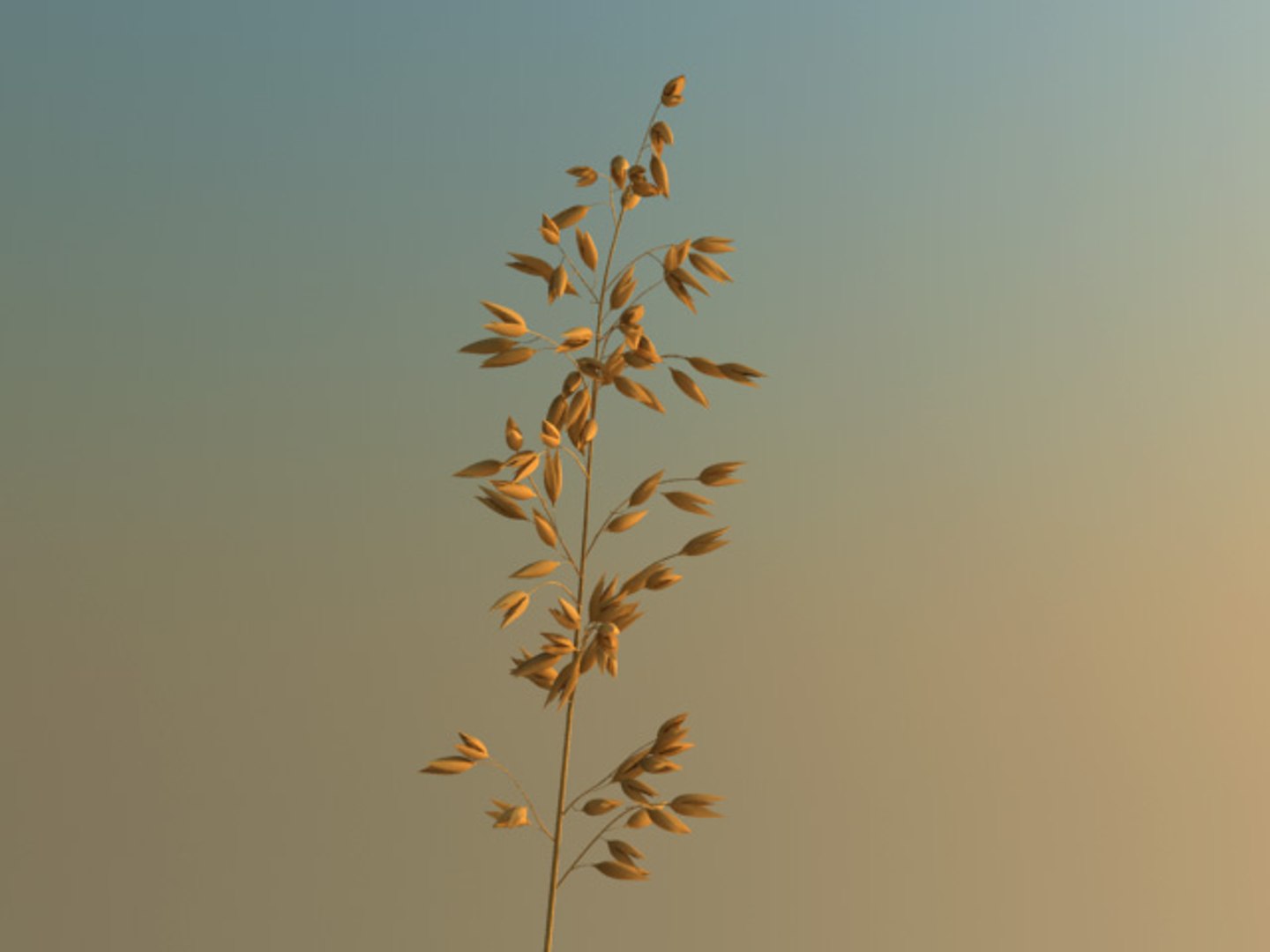 Oats 3d Max