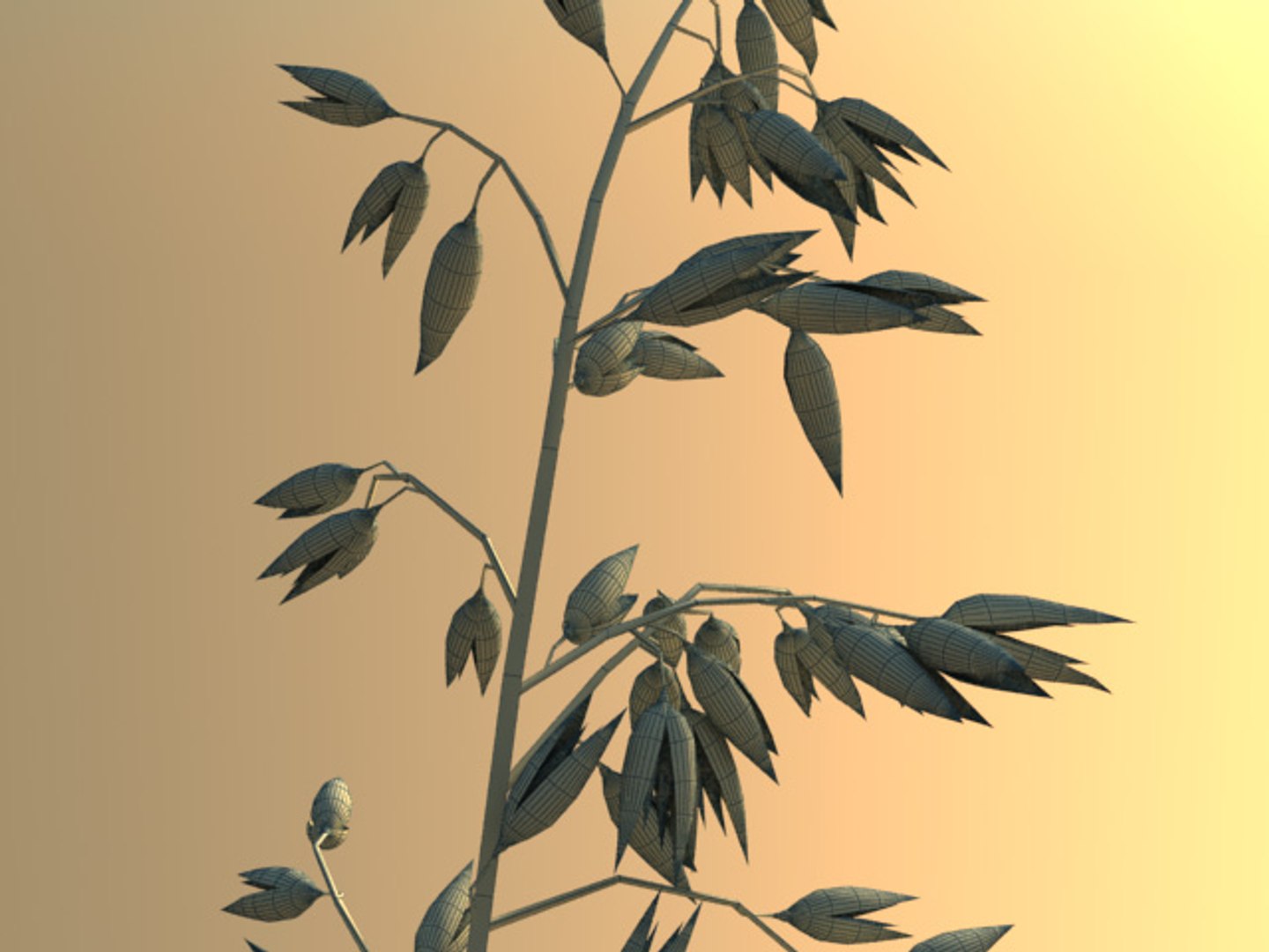 Oats 3d Max