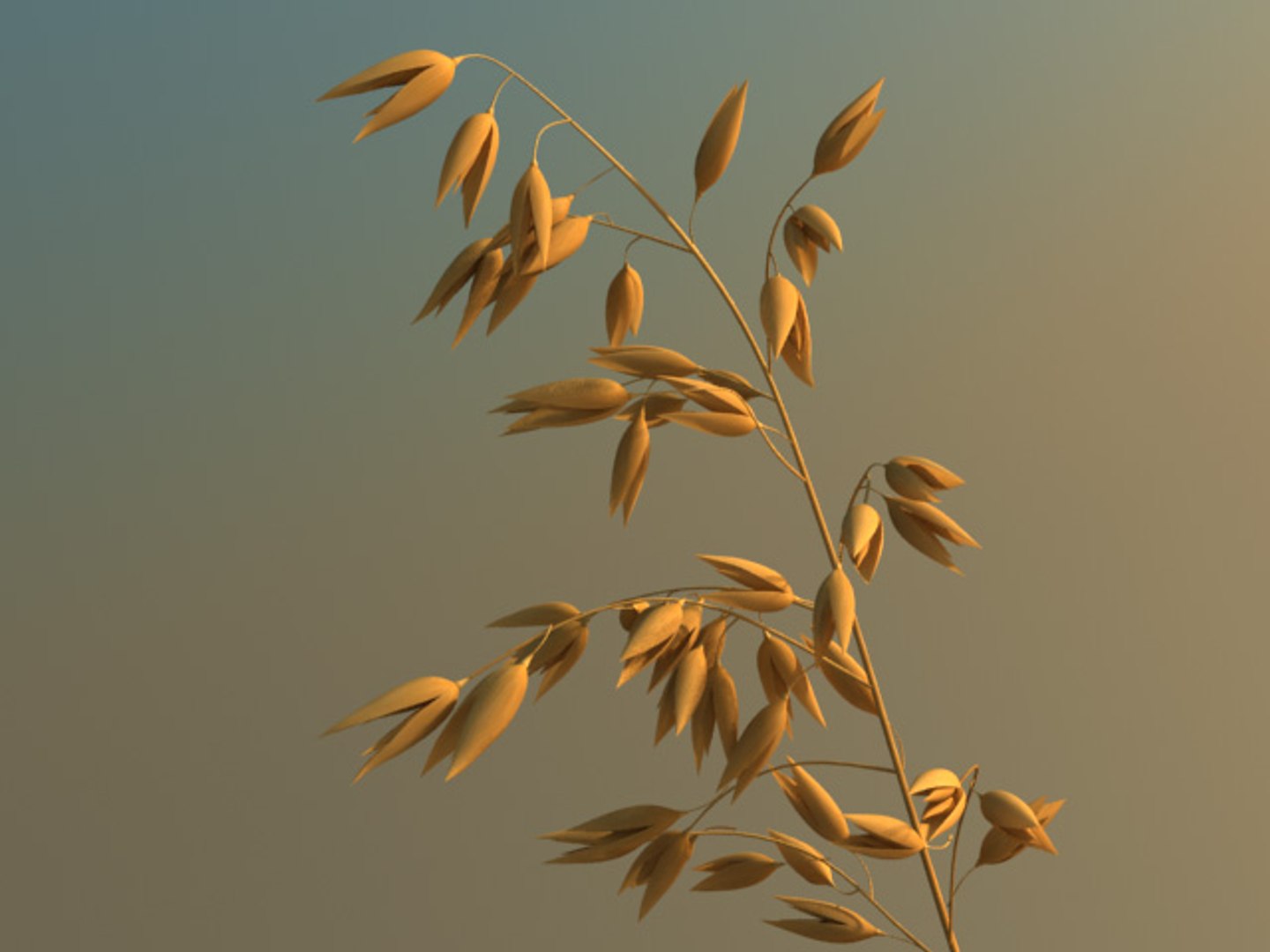 Oats 3d Max