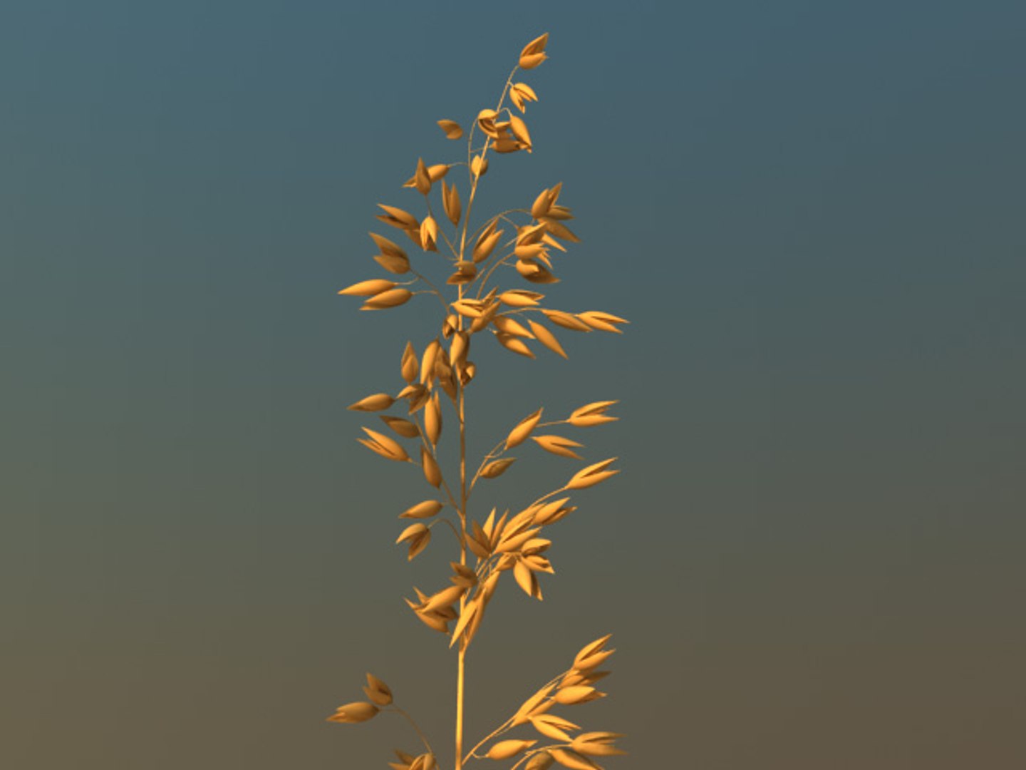 Oats 3d Max