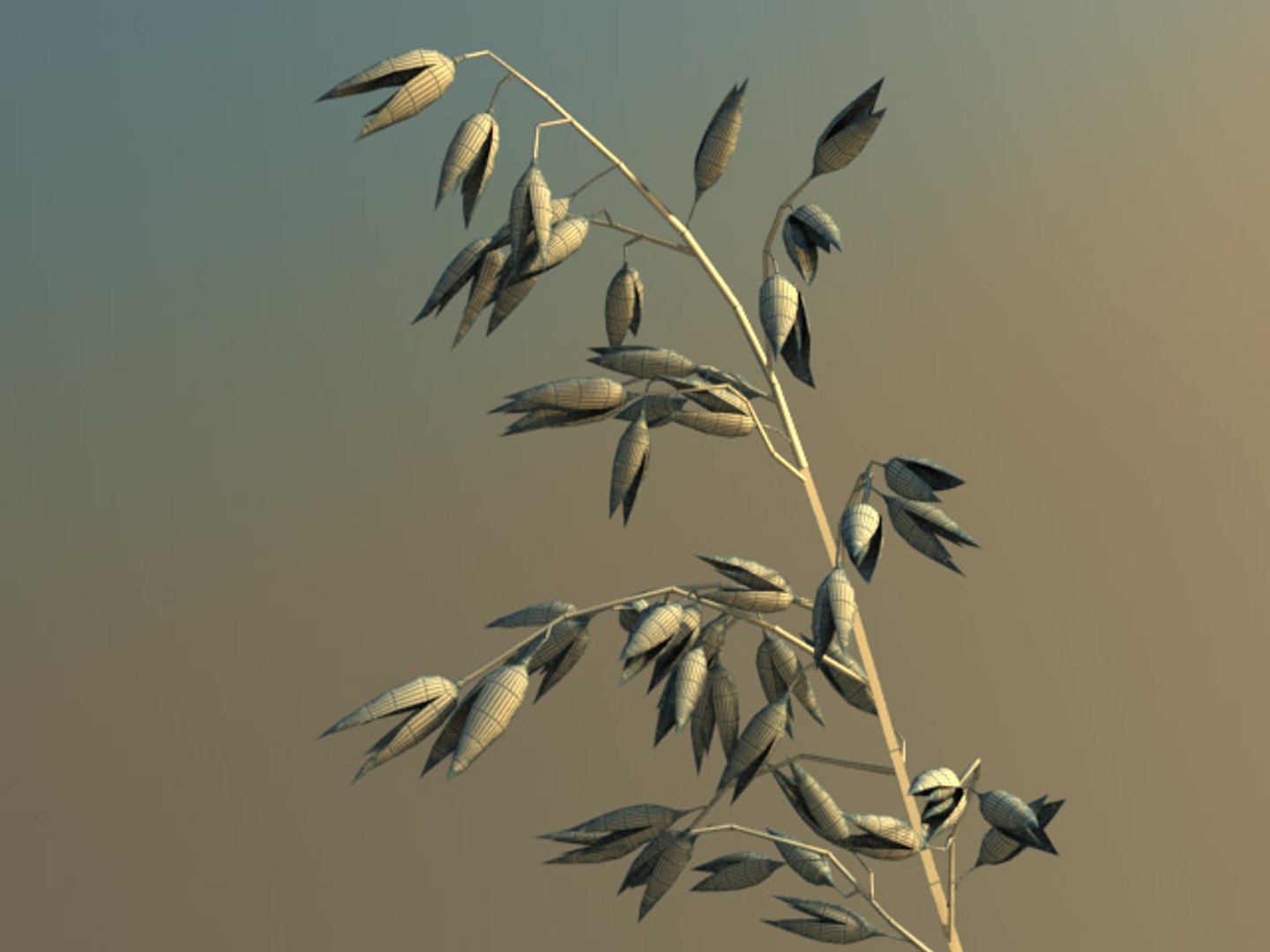 Oats 3d Max