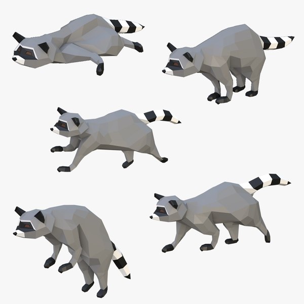 Blender Raccoon Models | TurboSquid
