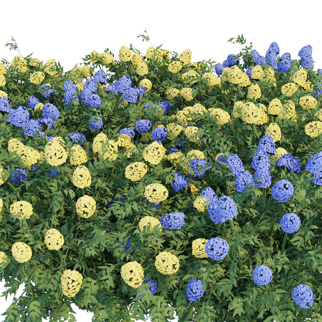 3D Flowering Bushes Collection Vol 43 - TurboSquid 1955720