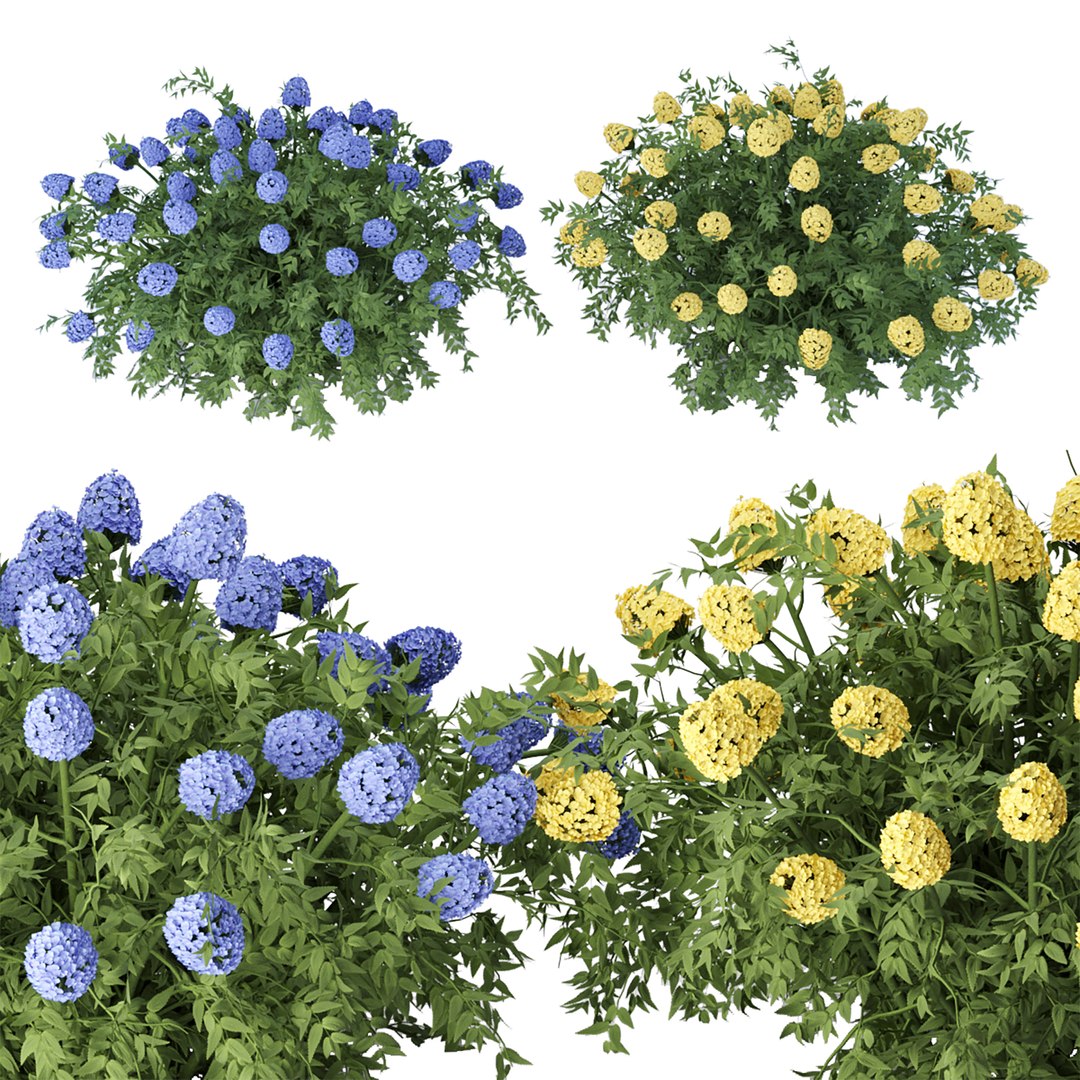 3D Flowering Bushes Collection Vol 43 - TurboSquid 1955720