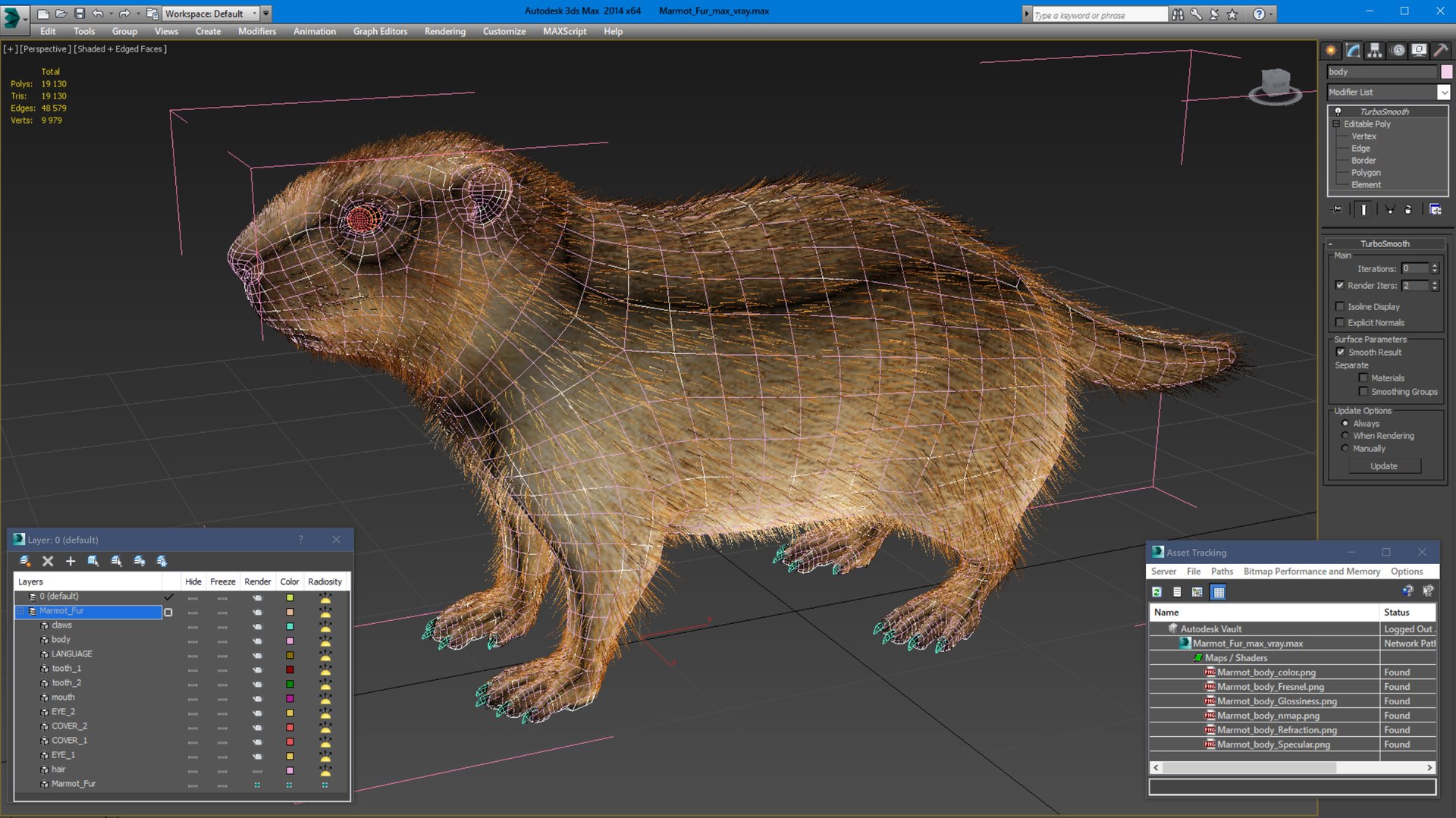 3D Model Marmot Fur - TurboSquid 1964252