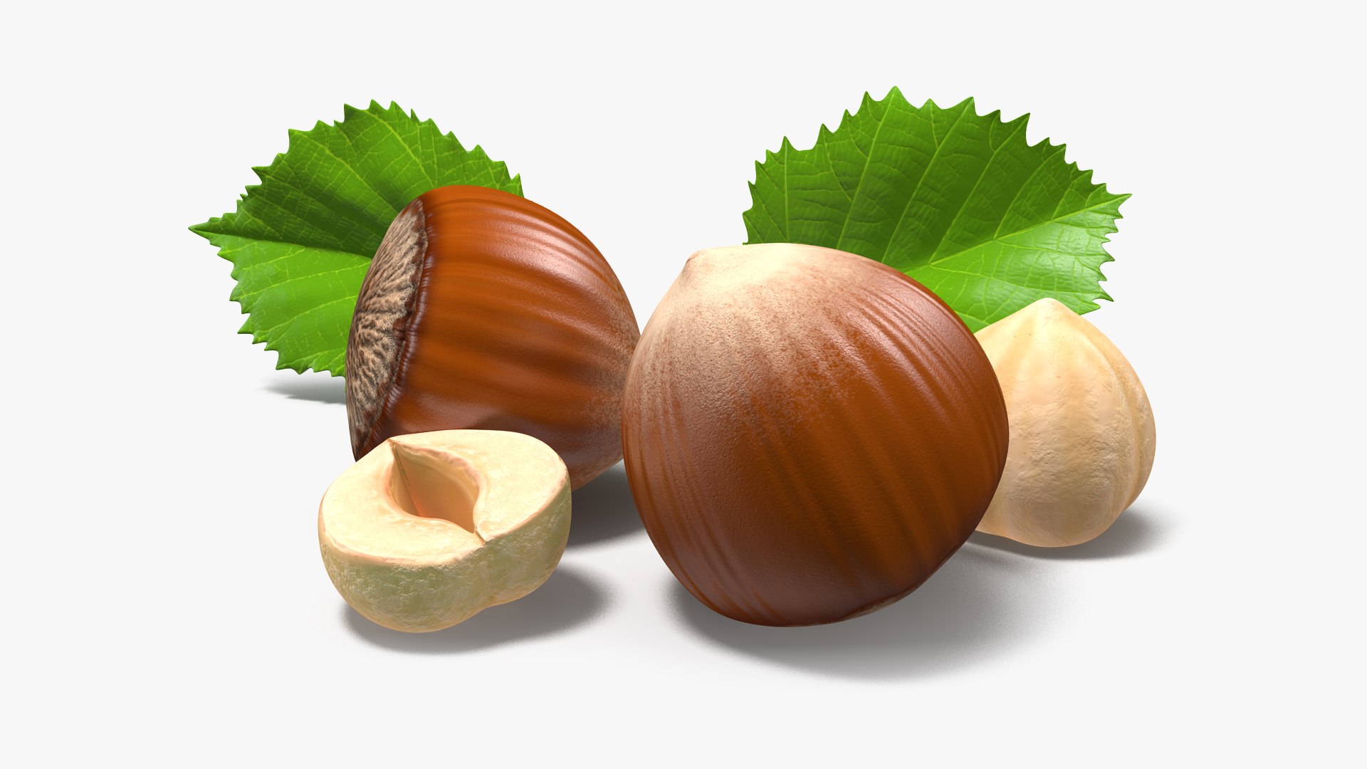 3D Model Nuts 4 - TurboSquid 1459881