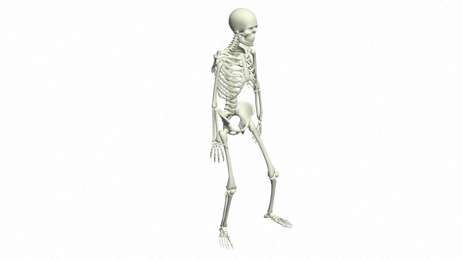 Skeleton Rigged 3D Animations Set 8 - 25 In 1 3D - TurboSquid 1884400