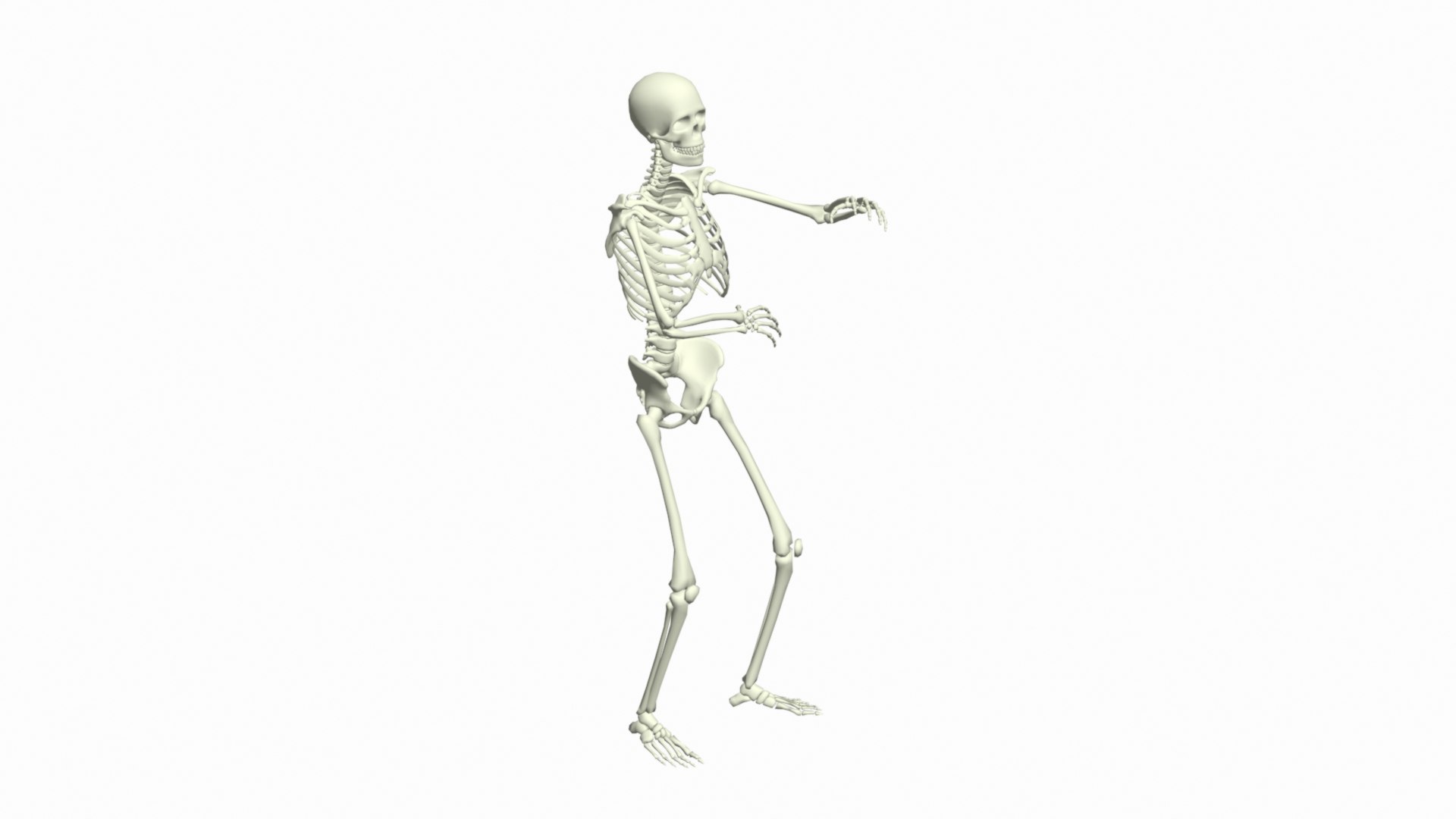 Skeleton Rigged 3D Animations Set 8 - 25 In 1 3D - TurboSquid 1884400