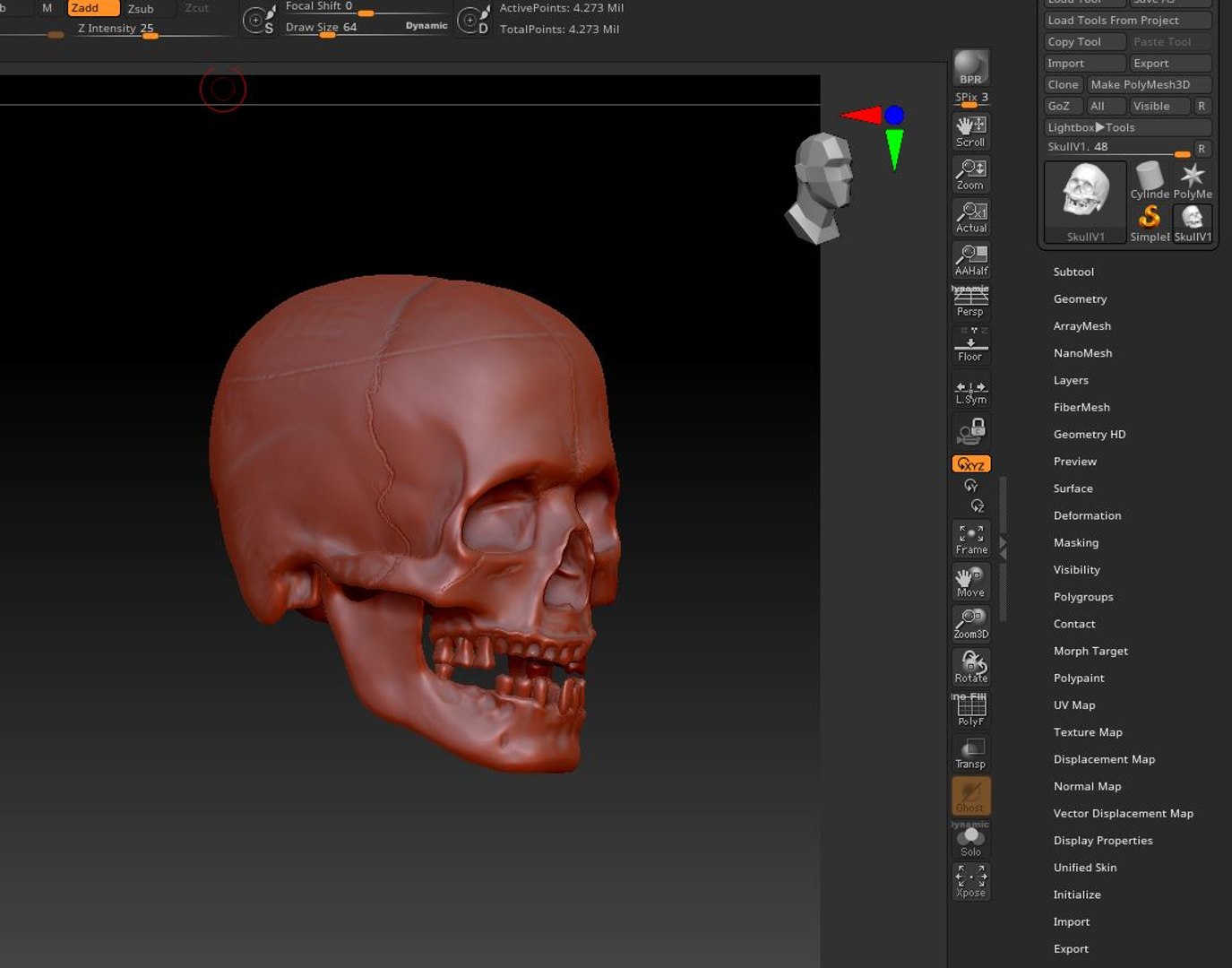 3D Human Skull V1 - TurboSquid 1662640