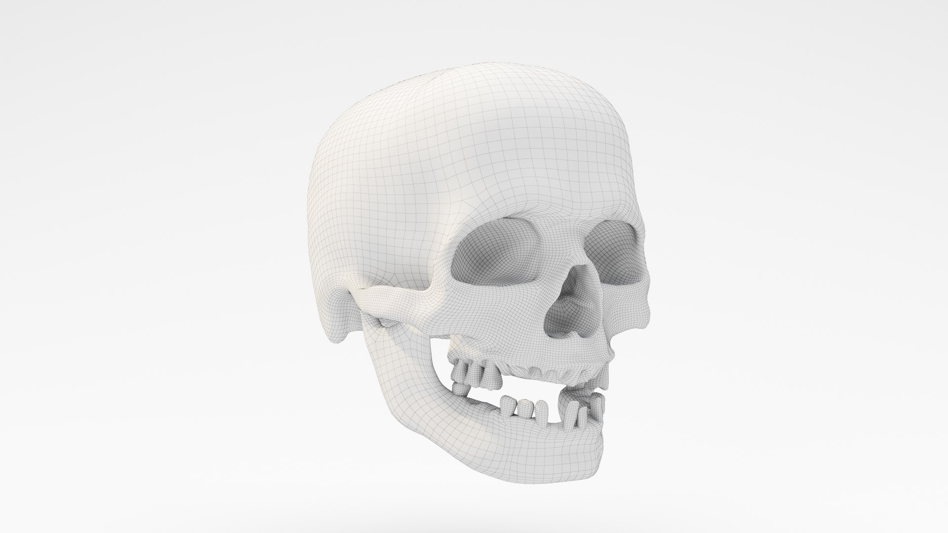 3D Human Skull V1 - TurboSquid 1662640