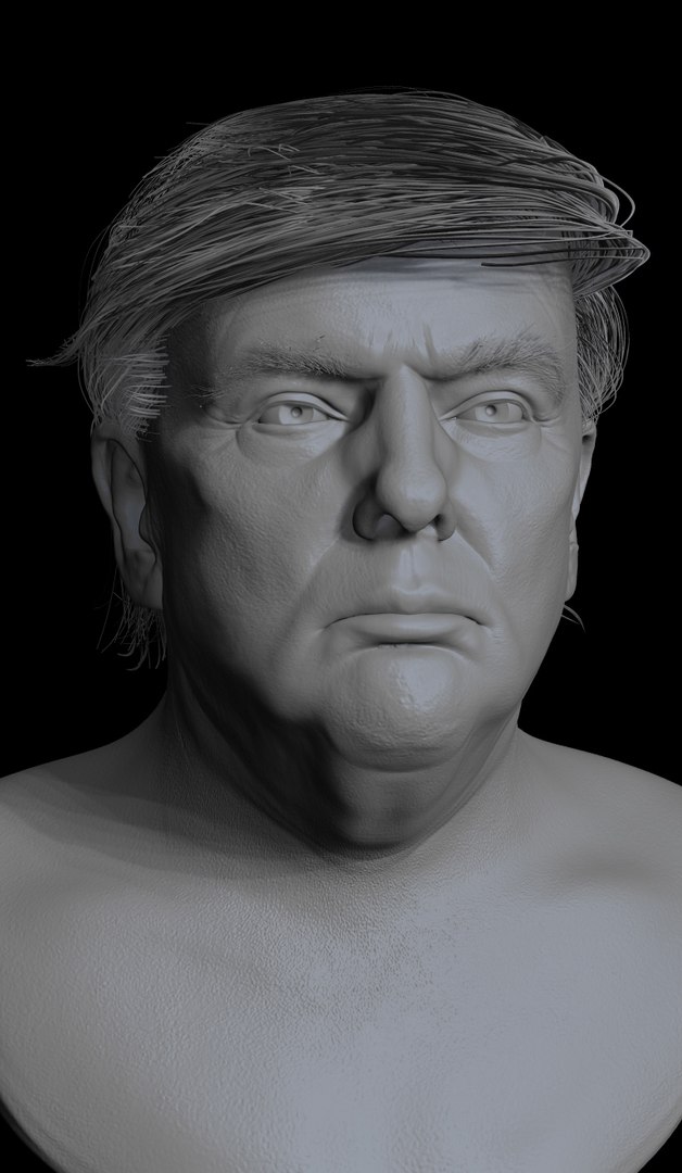 Donald Trump Bust Sculpt 3D Model - TurboSquid 1459616