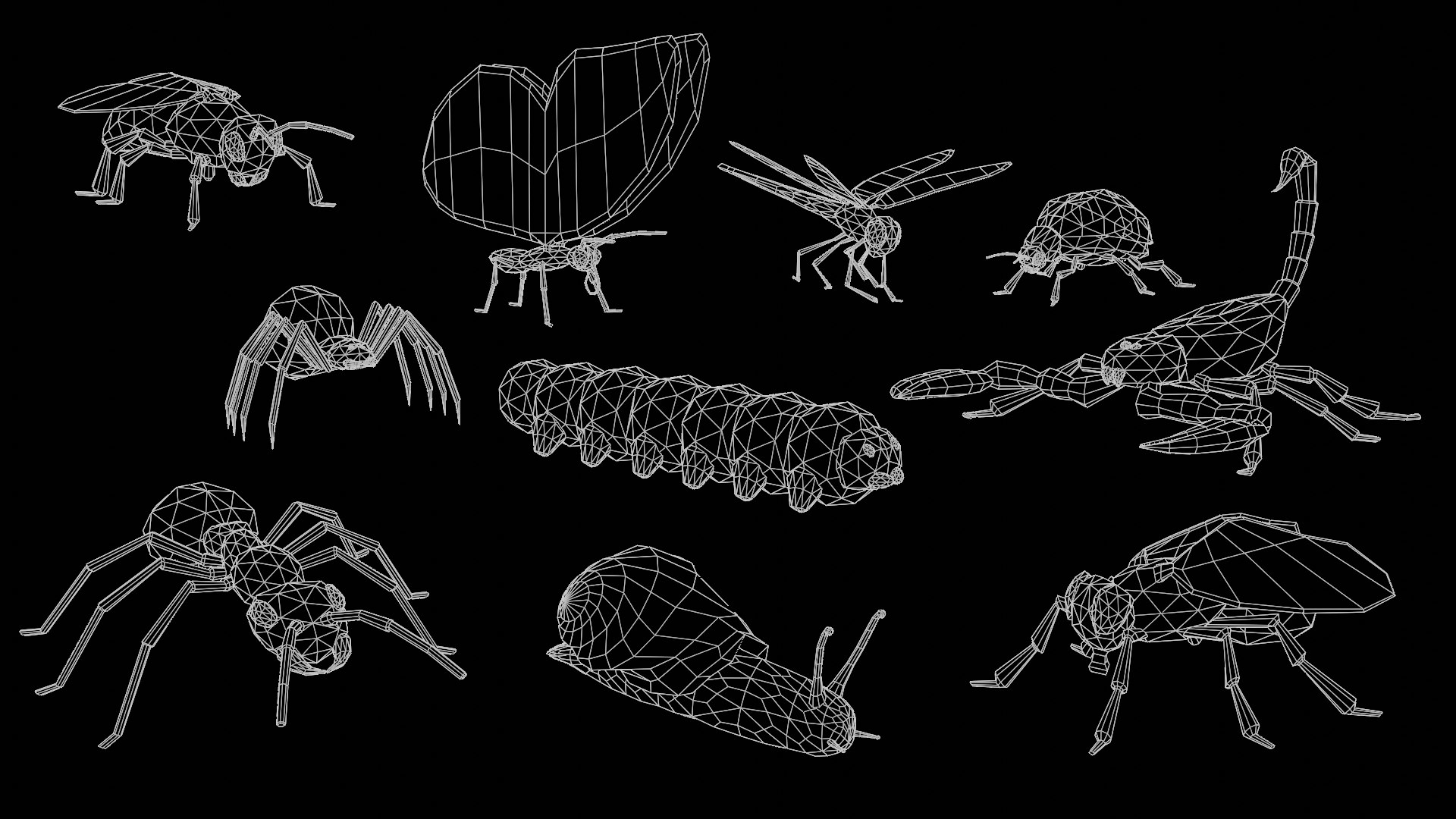 9t5 Low Poly Insects 3D - TurboSquid 1792721
