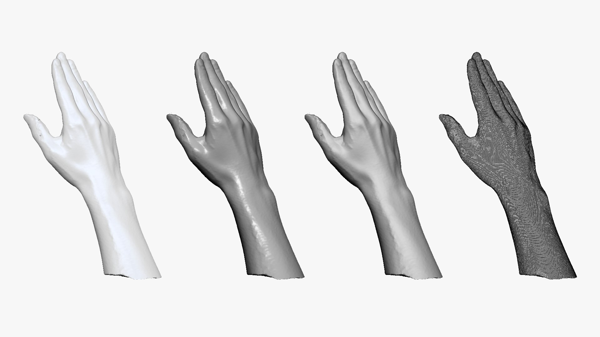 001161 Straight Hand 3D Model - TurboSquid 1734324