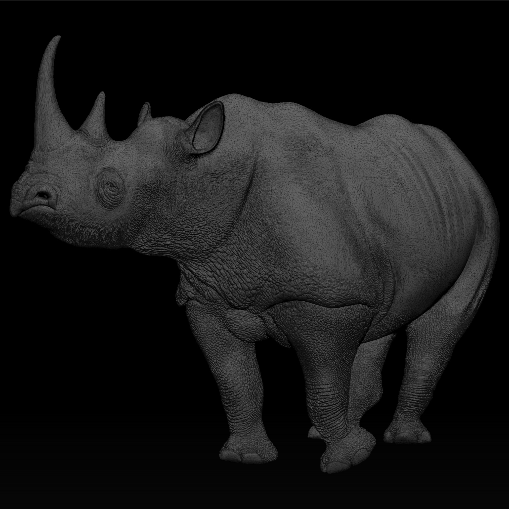free 3ds model bas relief black rhino