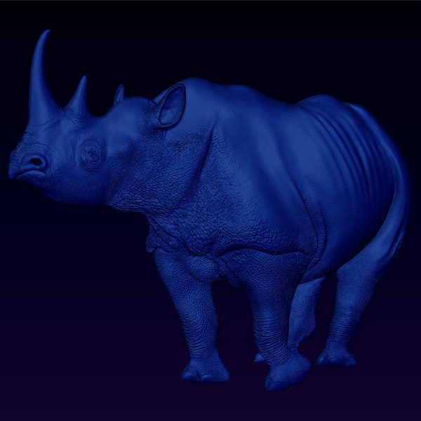 Free 3D Rhino Models | TurboSquid