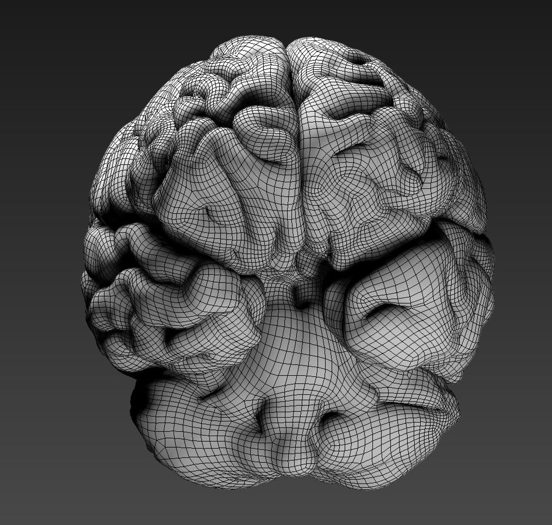 Human Brain Obj