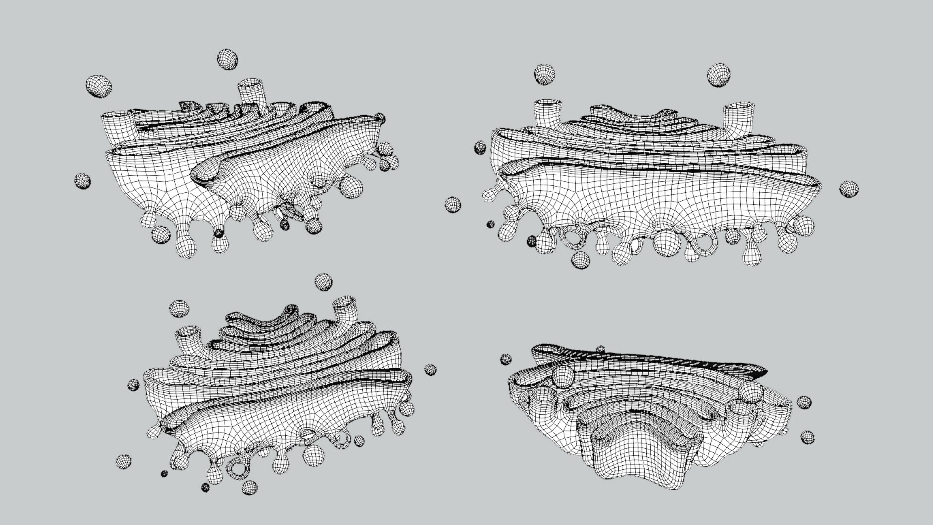 Golgi Apparatus Anatomy Model - TurboSquid 2107185