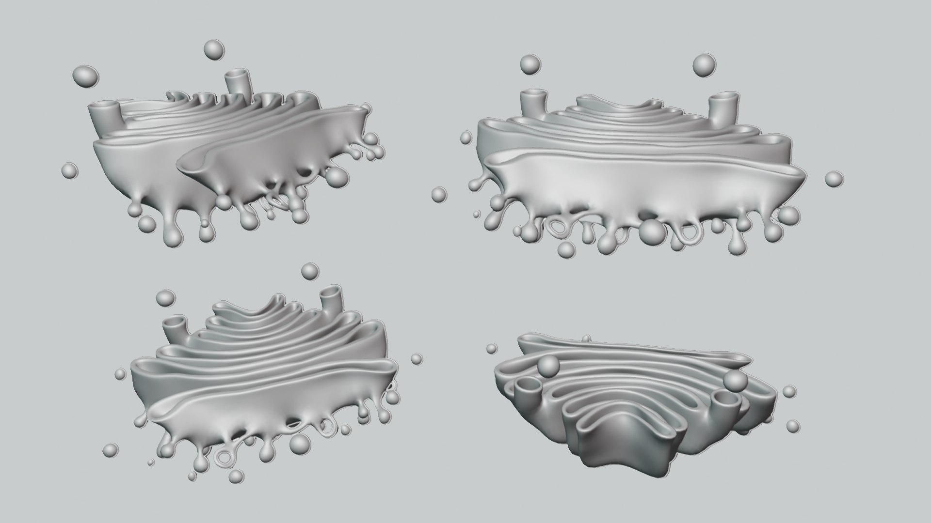 Golgi Apparatus Anatomy Model - TurboSquid 2107185
