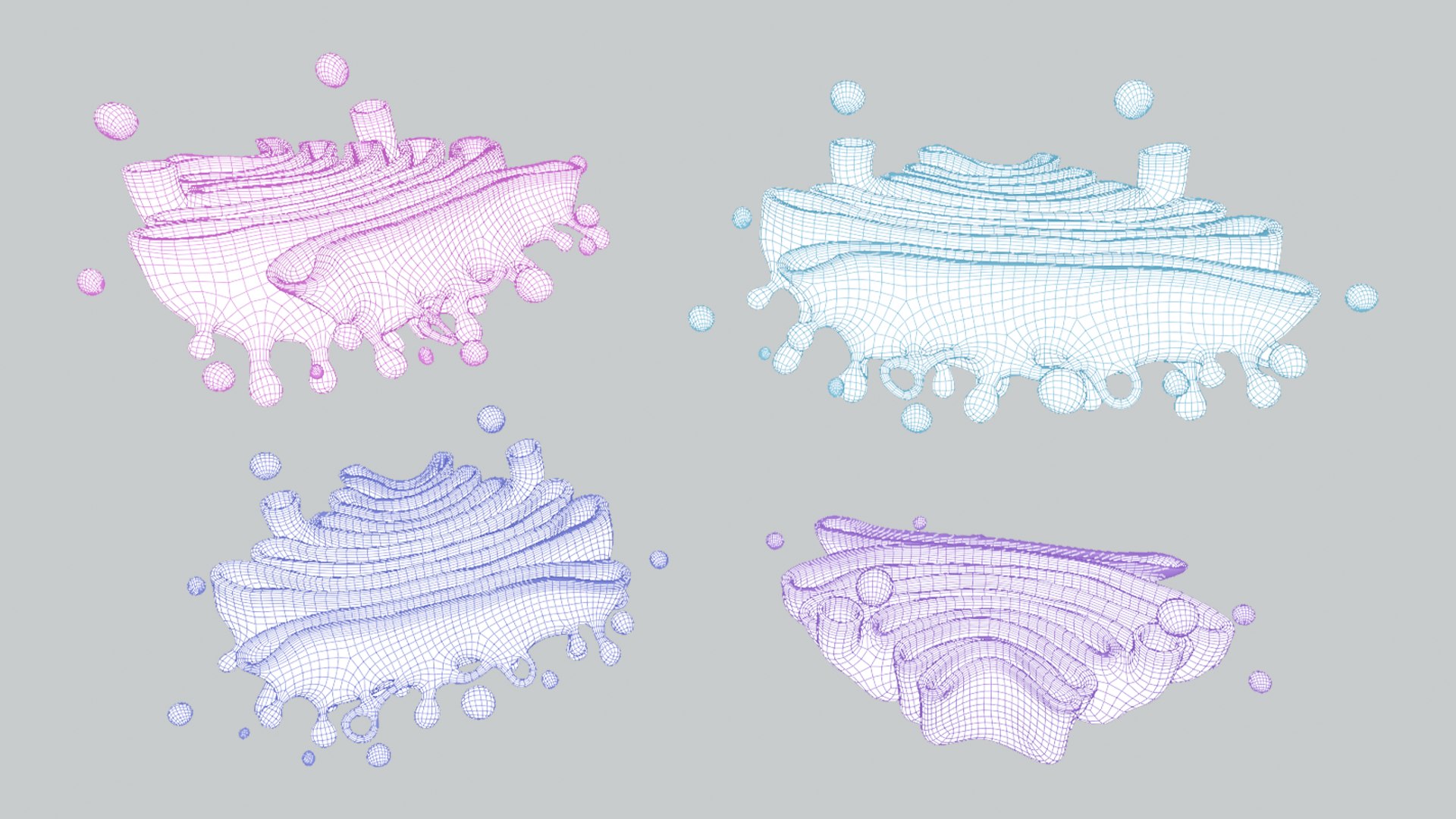 Golgi Apparatus Anatomy Model - TurboSquid 2107185