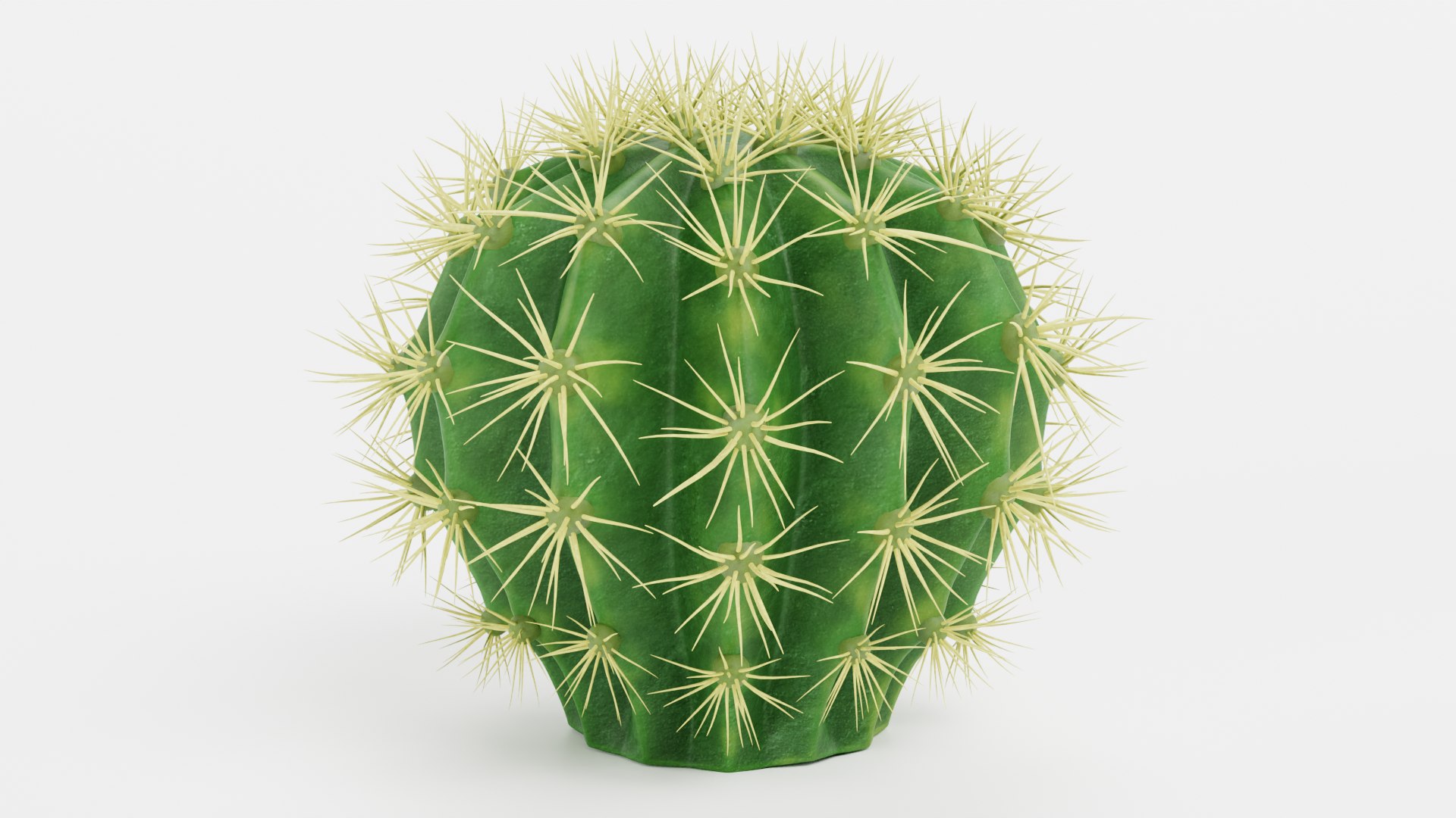 3D Cactuses Model - TurboSquid 2102067