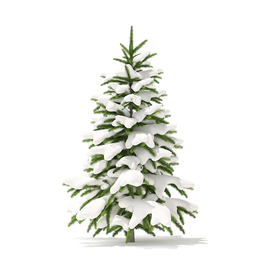 3D Fir Tree Snow 1 - TurboSquid 1273669