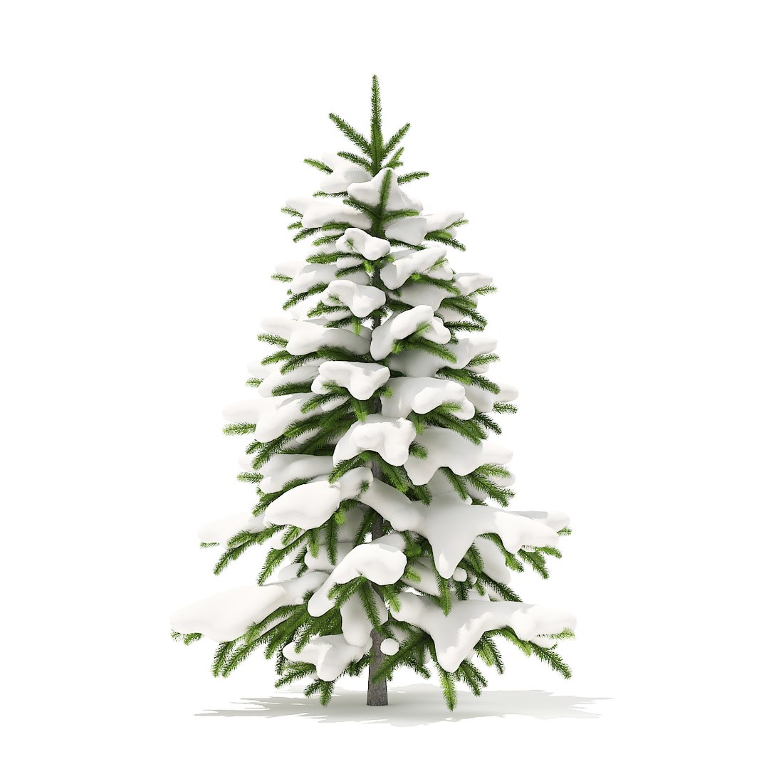 3D Fir Tree Snow 1 - TurboSquid 1273669