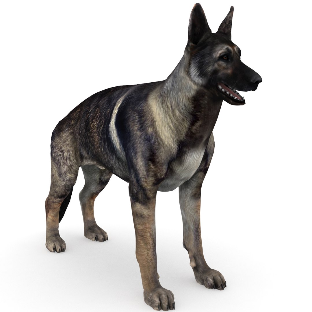 3D model german shepherd dog - TurboSquid 1445462
