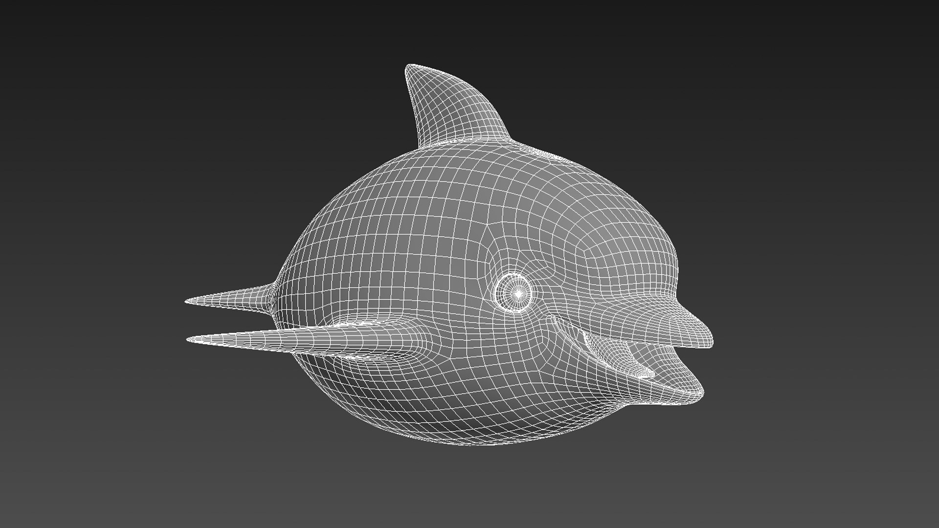 3D Dolphin Animals Mammals Model - TurboSquid 1672480