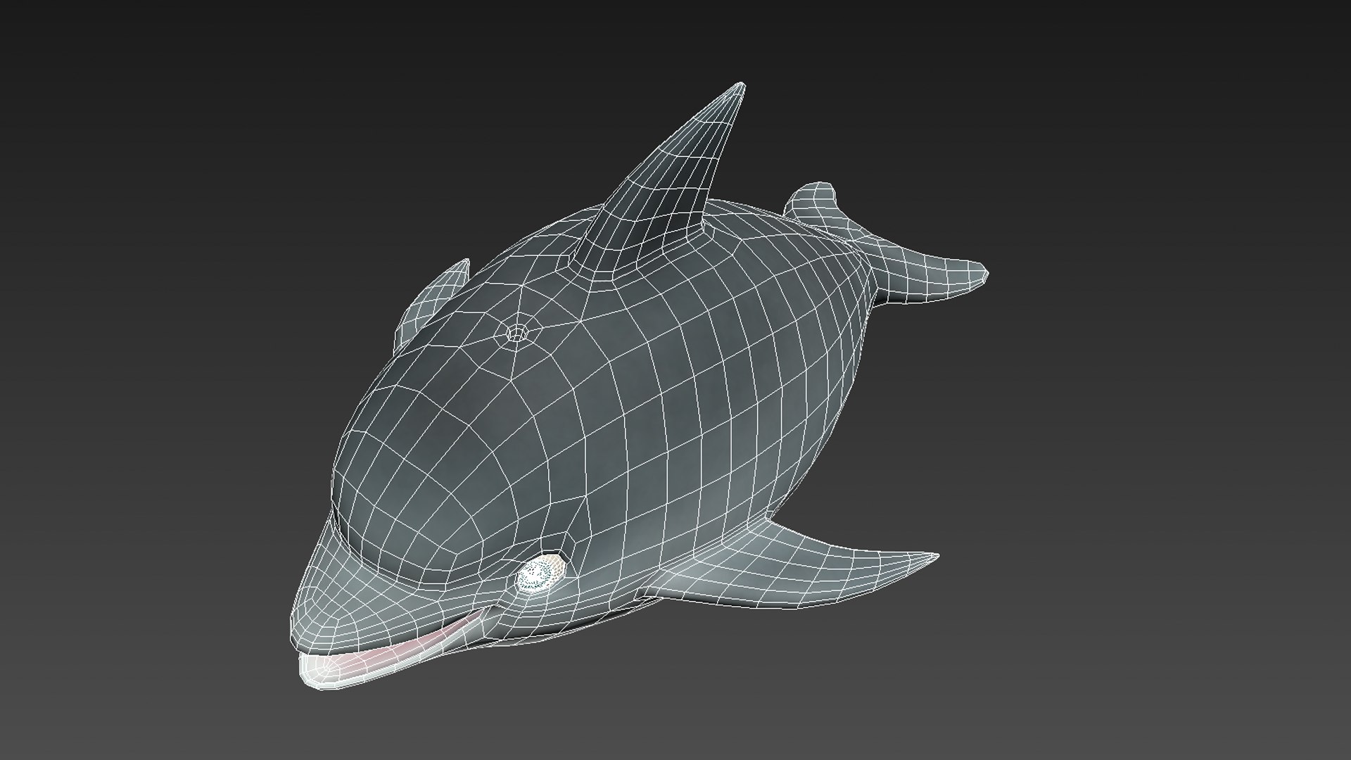 3D Dolphin Animals Mammals Model - TurboSquid 1672480