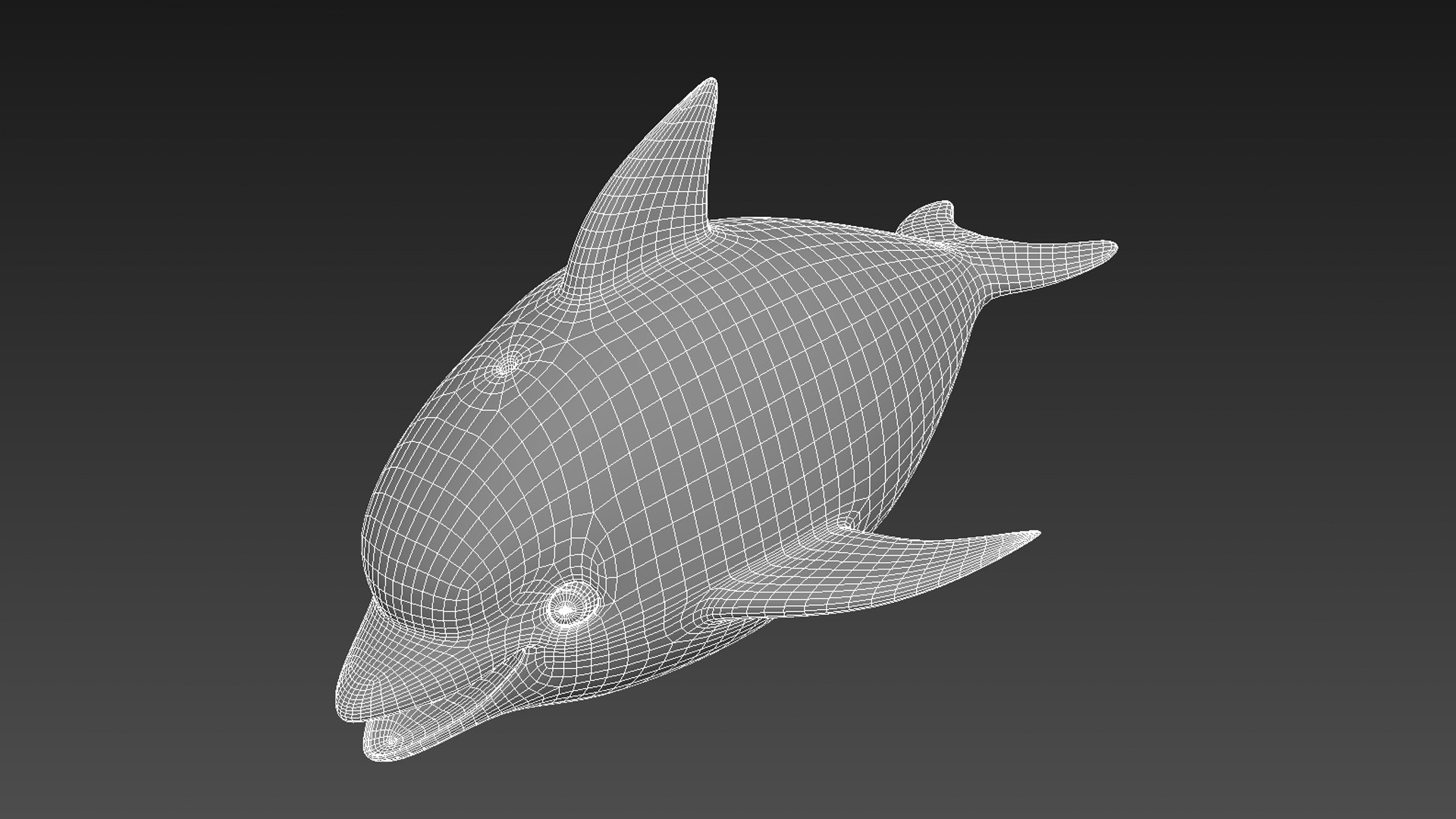 3D Dolphin Animals Mammals Model - TurboSquid 1672480