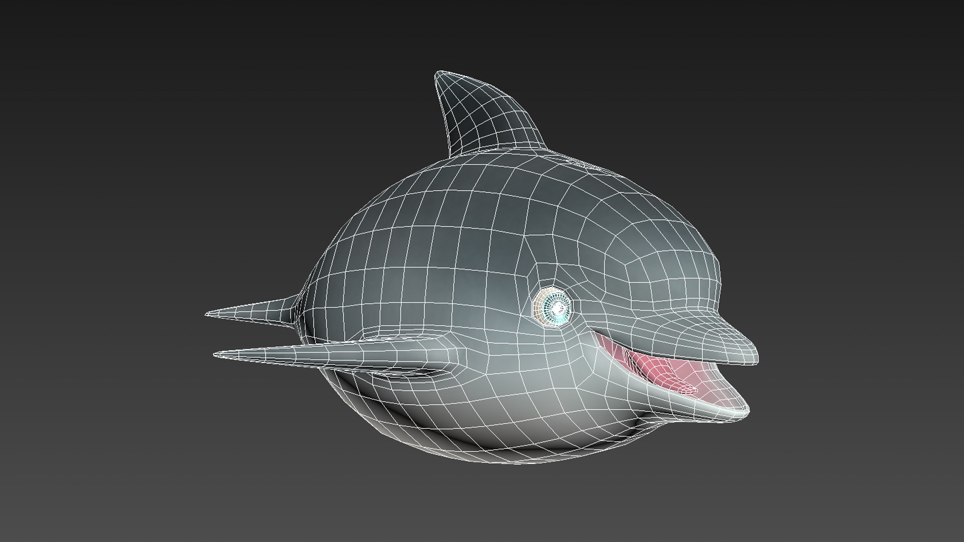 3D Dolphin Animals Mammals Model - TurboSquid 1672480